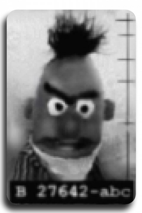 Bert is Evil! | Igna Co