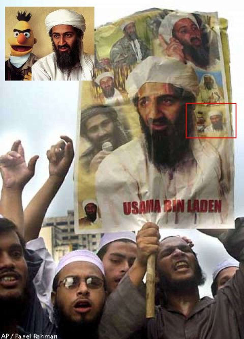 Bert is Evil! | Igna Co